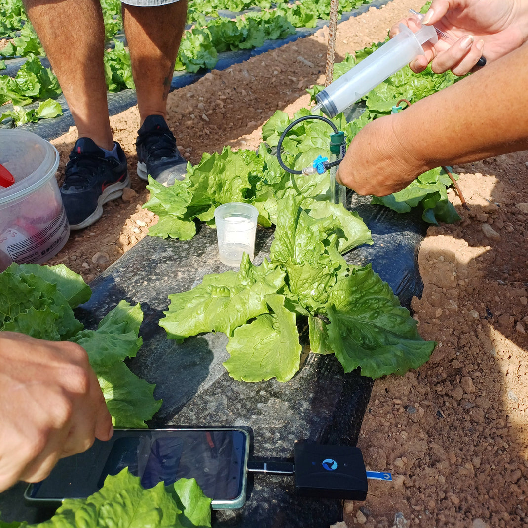 Agro – Blueming Biotech